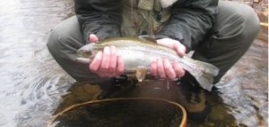 4 Tips for Getting a Better Picture of Your Trophy - Fly Fishing | Gink ...