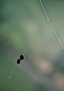 2 Alternatives for Attaching Your Split-Shot - Fly Fishing | Gink and ...