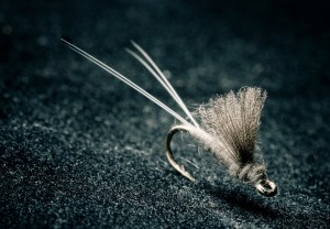 RS2 – One of My Favorite Picky Trout Fly Patterns - Fly Fishing | Gink ...