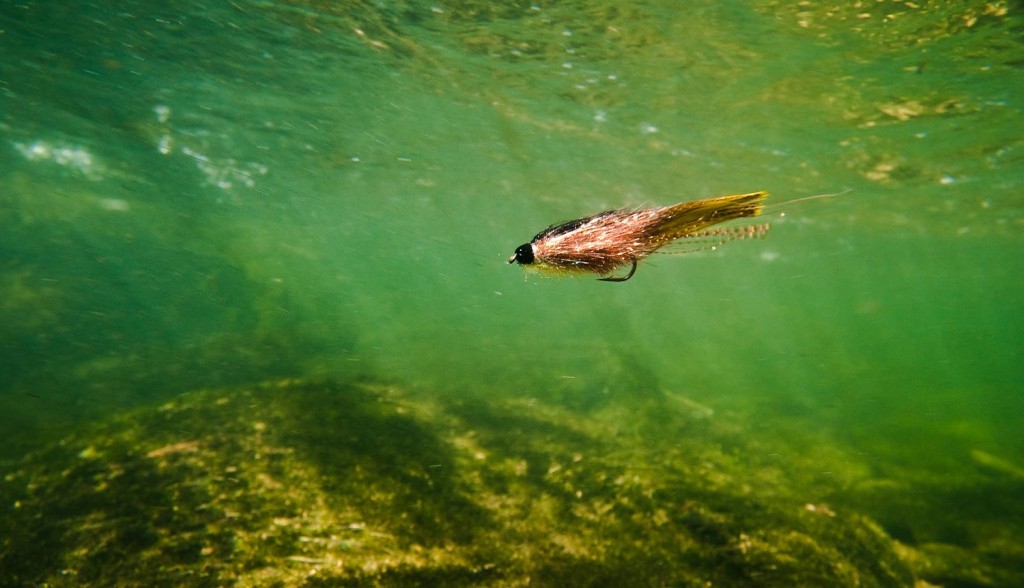 Streamer Retrieves For Different Current Speeds - Fly Fishing | Gink ...