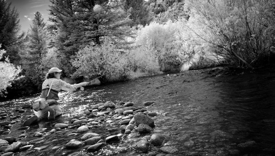 Book Review, “The View From Coal Creek” by Erin Block - Fly Fishing ...