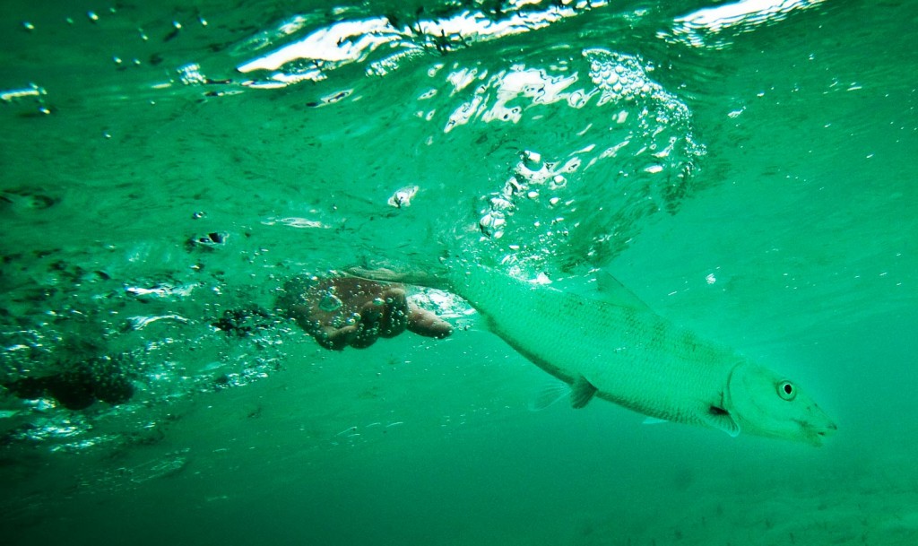 3 Tips For Better Bonefishing - Fly Fishing | Gink and Gasoline | How ...