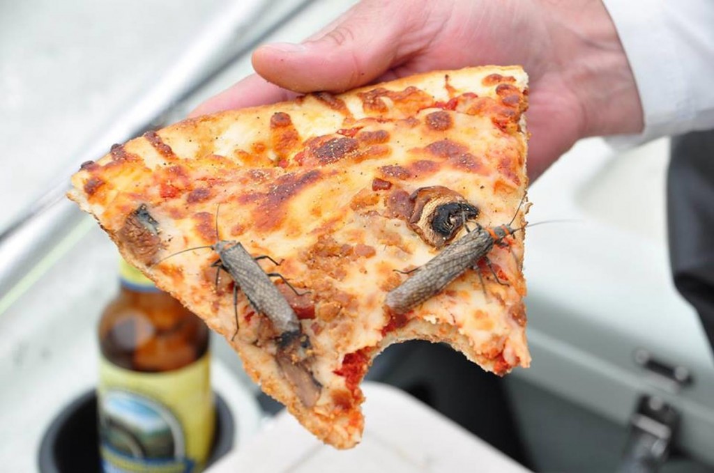 When Is a Pizza Not a Pizza? - Fly Fishing | Gink and Gasoline | How to ...