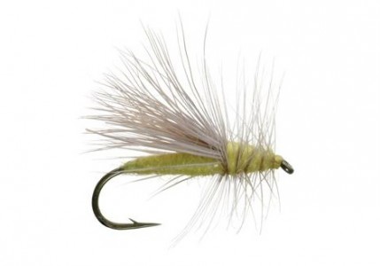 10 Yellow Sally Fly Patterns That I Love - Fly Fishing | Gink and ...