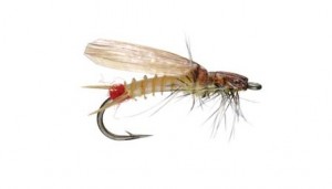 10 Yellow Sally Fly Patterns That I Love - Fly Fishing | Gink and ...
