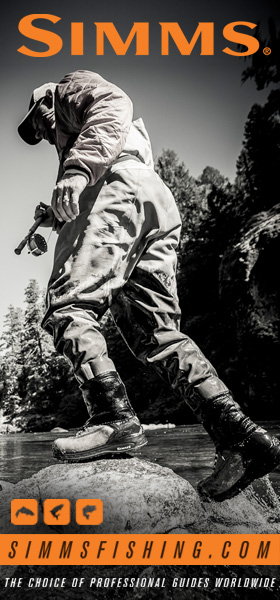 Isonychia Nymph Patterns – 4 Proven Imitations - Fly Fishing | Gink and ...