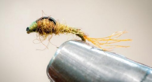 Fish Floating Nymphs for Selective Trout - Fly Fishing | Gink and ...