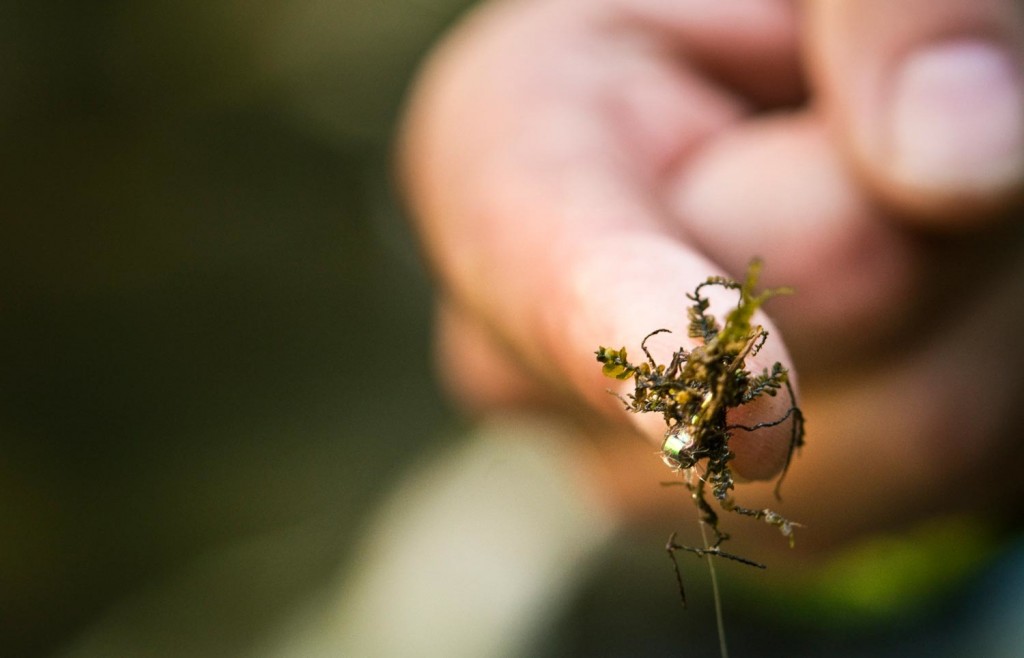 Fly Fishing Tip: Check Your Rig For Tangles and Unwanted Debris - Fly ...