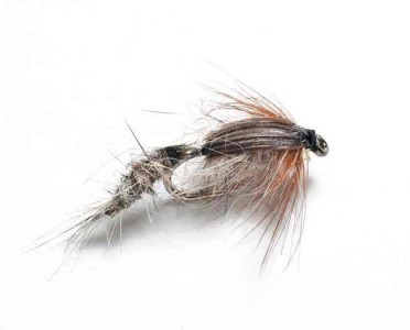 Isonychia Nymph Patterns – 4 Proven Imitations - Fly Fishing | Gink and ...