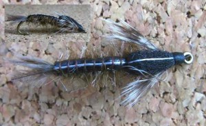 Isonychia Nymph Patterns – 4 Proven Imitations - Fly Fishing | Gink and ...