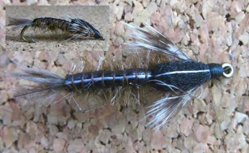 Isonychia Nymph Patterns – 4 Proven Imitations - Fly Fishing | Gink and ...