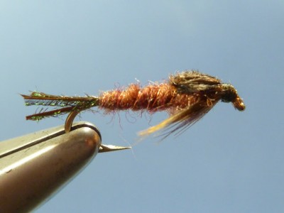 Isonychia Nymph Patterns – 4 Proven Imitations - Fly Fishing | Gink and ...