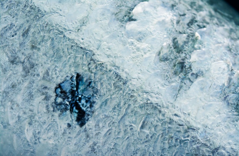 A Closer Look, Barracuda - Fly Fishing | Gink and Gasoline | How to Fly ...