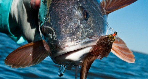 Top 10 Redfish Flies - Fly Fishing | Gink and Gasoline | How to Fly ...