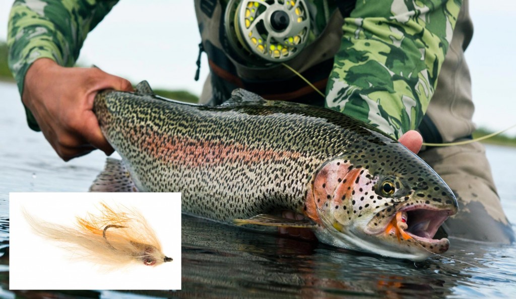 Flies That Catch Big Trout, The Truth Might Surprise You - Fly Fishing ...