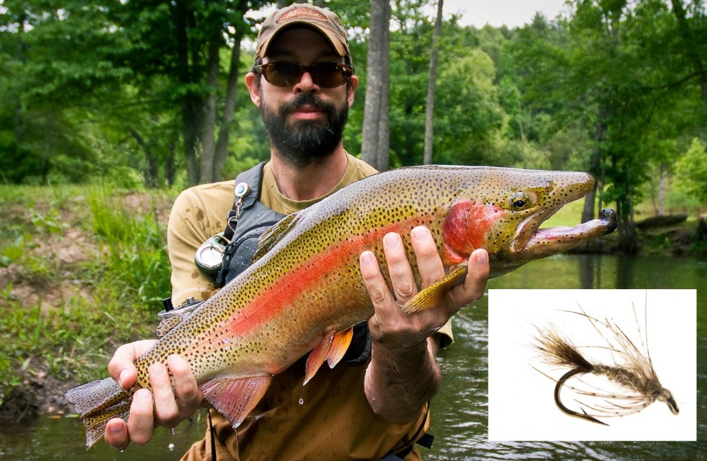 Flies That Catch Big Trout, The Truth Might Surprise You - Fly Fishing ...