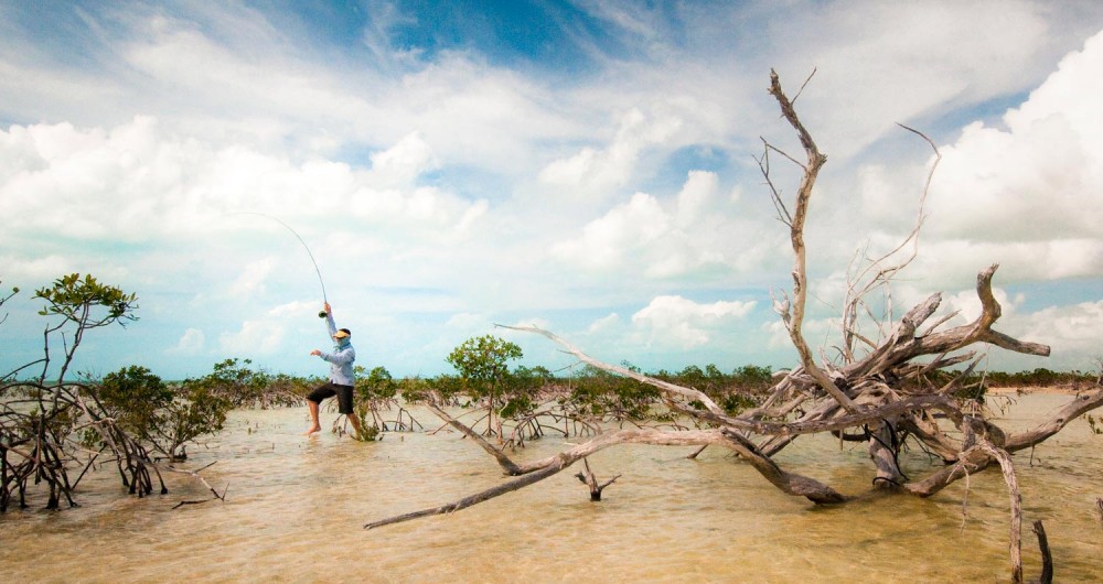 DIY Bonefishing – It’s All About The Short Game - Fly Fishing | Gink ...