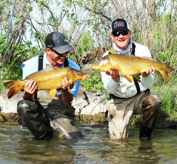 Pothole Fish With John I Missed - Fly Fishing | Gink and Gasoline | How ...