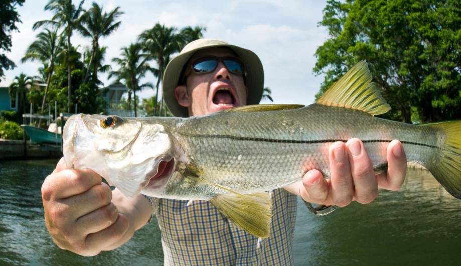 Forced Perspective In Fish Photos, What’s Right? - Fly Fishing | Gink ...