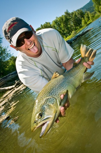 Catch Trophy Brown Trout By Stacking The Odds In Your Favor - Fly ...