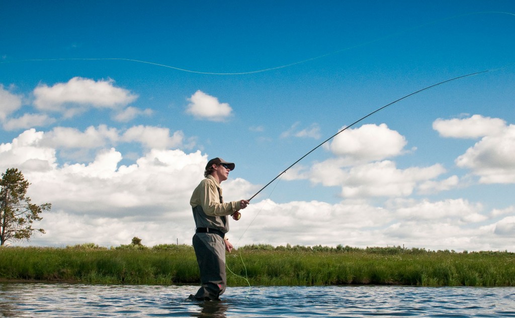 Understanding Fly Line Tapers and Diagrams - Fly Fishing | Gink and ...