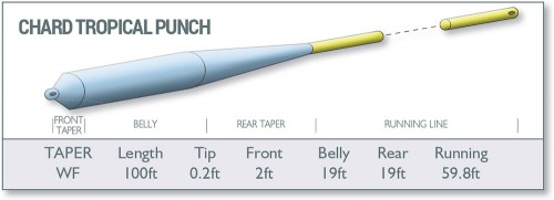 Understanding Fly Line Tapers and Diagrams - Fly Fishing | Gink and ...