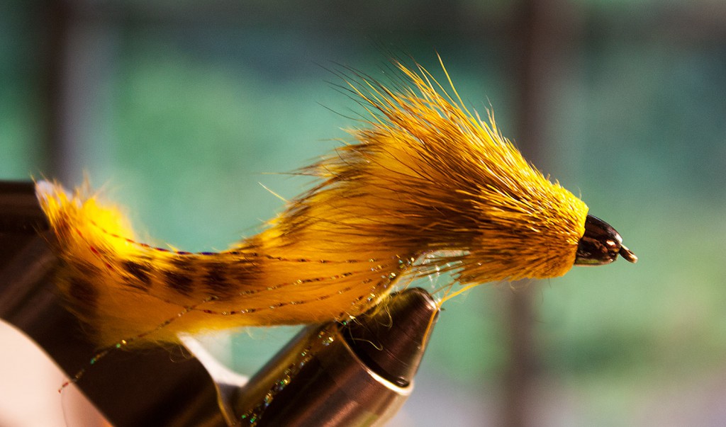 5 Flies For Labrador - Fly Fishing | Gink and Gasoline | How to Fly ...