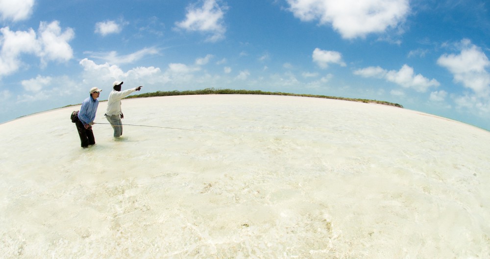 Seeing the Fish: Tips on how to focus and see more fish - Fly Fishing ...