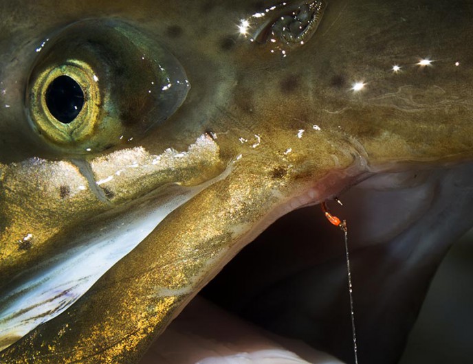 Matt McCannel’s Neon Nightmare - Fly Fishing | Gink and Gasoline | How ...