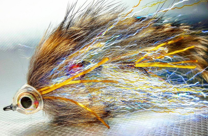 Reece’s Big Bandit - Fly Fishing | Gink and Gasoline | How to Fly Fish ...