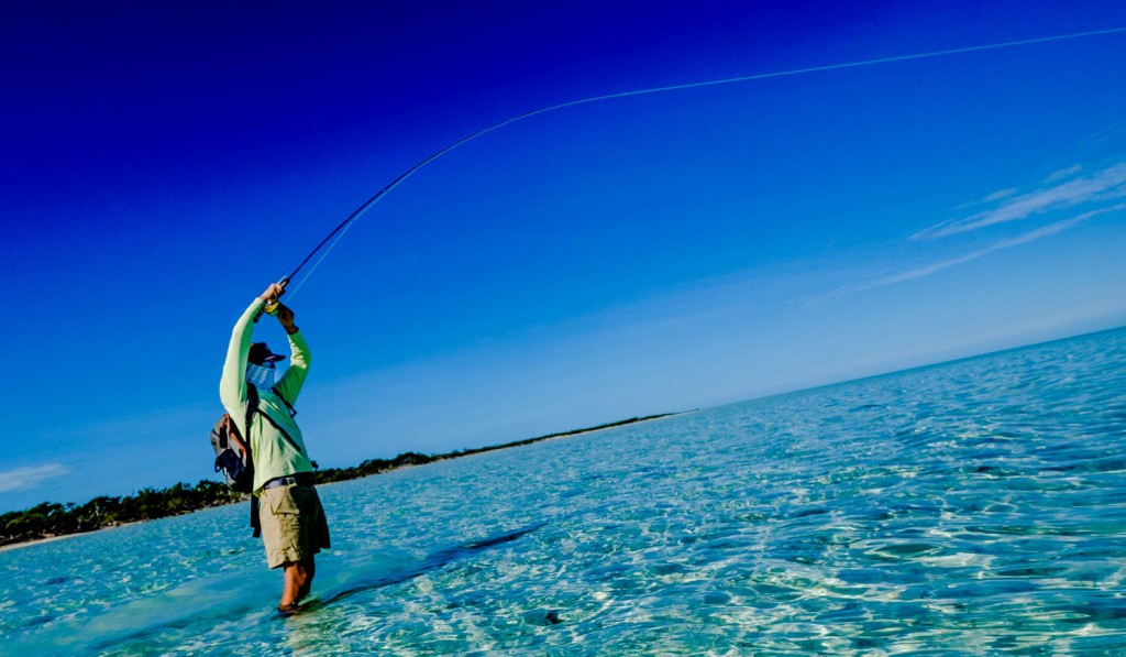 Bonefish Fly Lines: Beyond The Cast - Fly Fishing | Gink and Gasoline ...