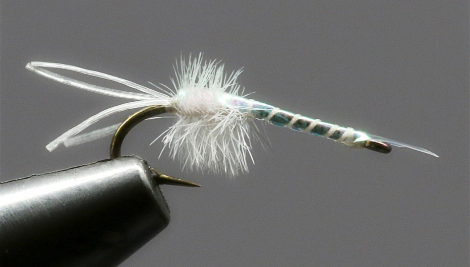 Dead or Alive - Fly Fishing | Gink and Gasoline | How to Fly Fish ...