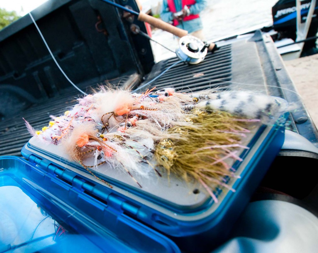 A Beginner’s Guide to Catching Bonefish - Fly Fishing | Gink and ...