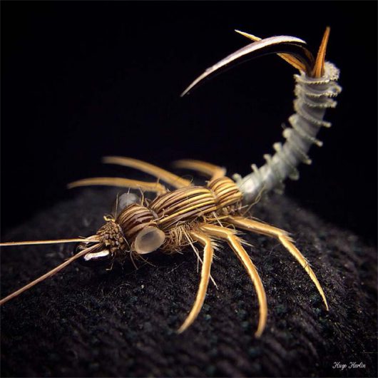 Saturday Shoutout / The Art Fly Tying - Fly Fishing | Gink and Gasoline ...
