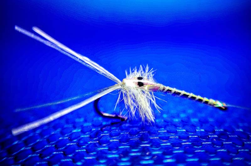 10 Successful Subsurface Trout Flies for the Dead of Winter - Fly ...