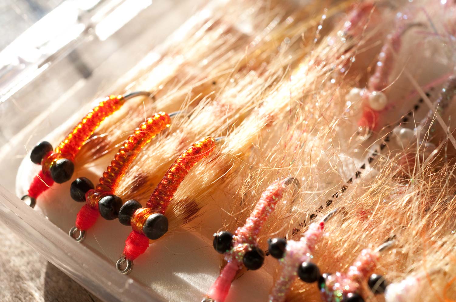 Bonefish — Getting into the game - Fly Fishing | Gink and Gasoline ...