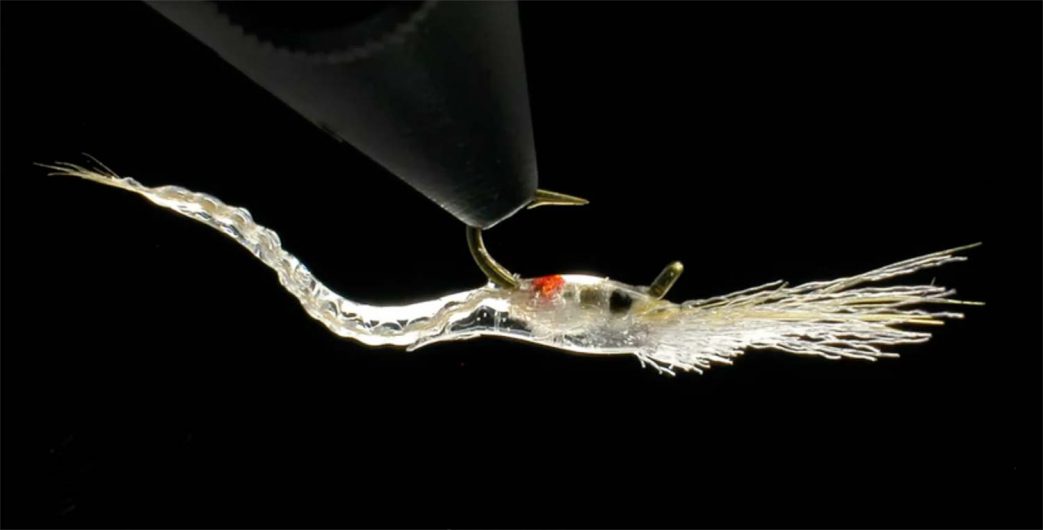 Shrimp Part 1: Mysis Shrimp - Fly Fishing | Gink and Gasoline | How to ...