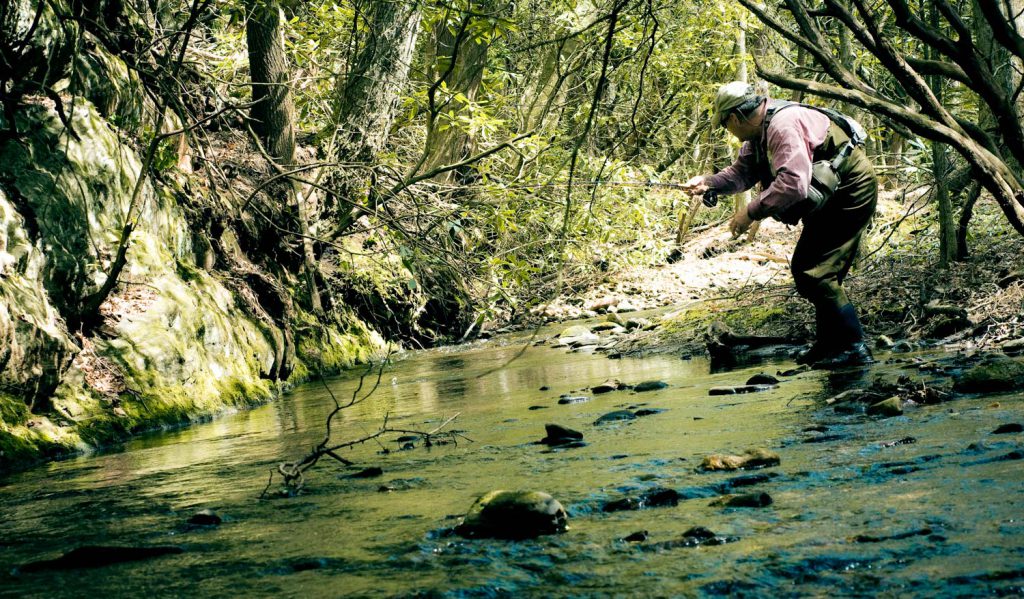 Small Stream, Big Reward - Fly Fishing | Gink and Gasoline | How to Fly ...