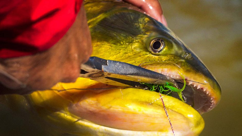 The Eat - Fly Fishing | Gink and Gasoline | How to Fly Fish | Trout ...