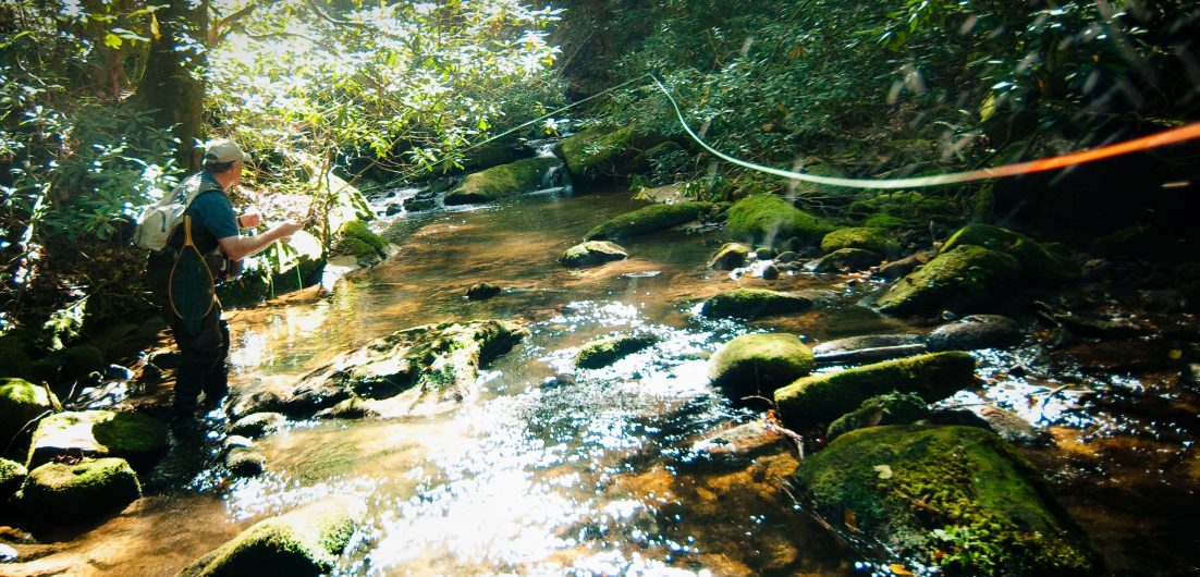 Small Stream Casting - Fly Fishing | Gink and Gasoline | How to Fly ...