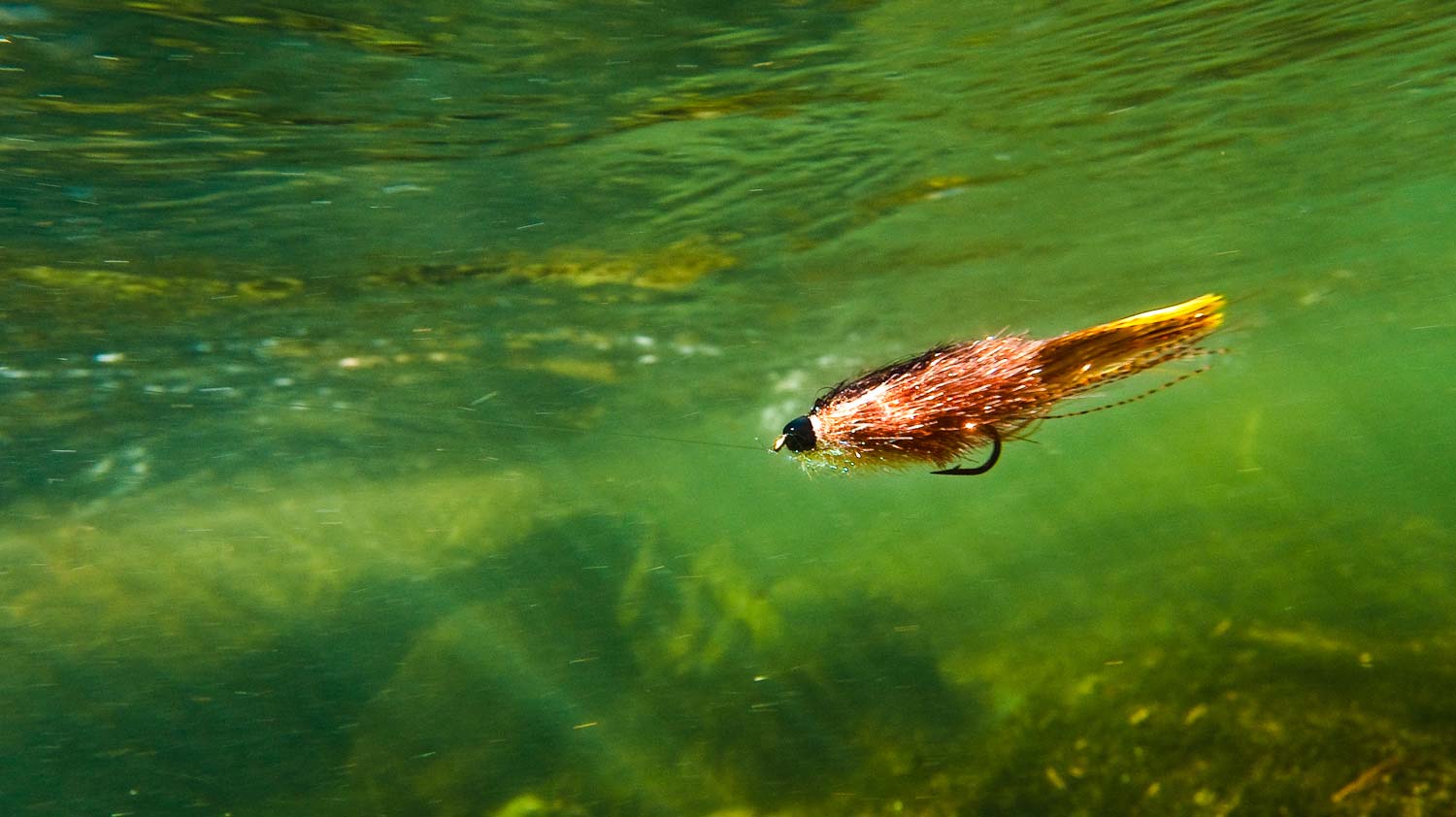 Streamers for Small Streams - Fly Fishing | Gink and Gasoline | How to ...