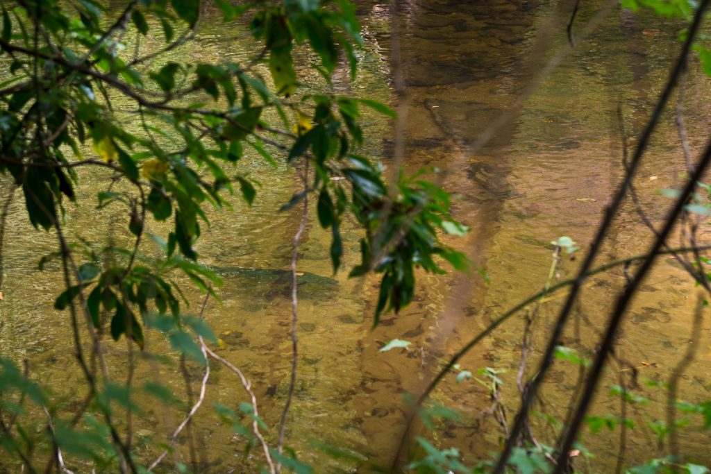 Small Stream Structure Part I- Substrate - Fly Fishing | Gink and ...