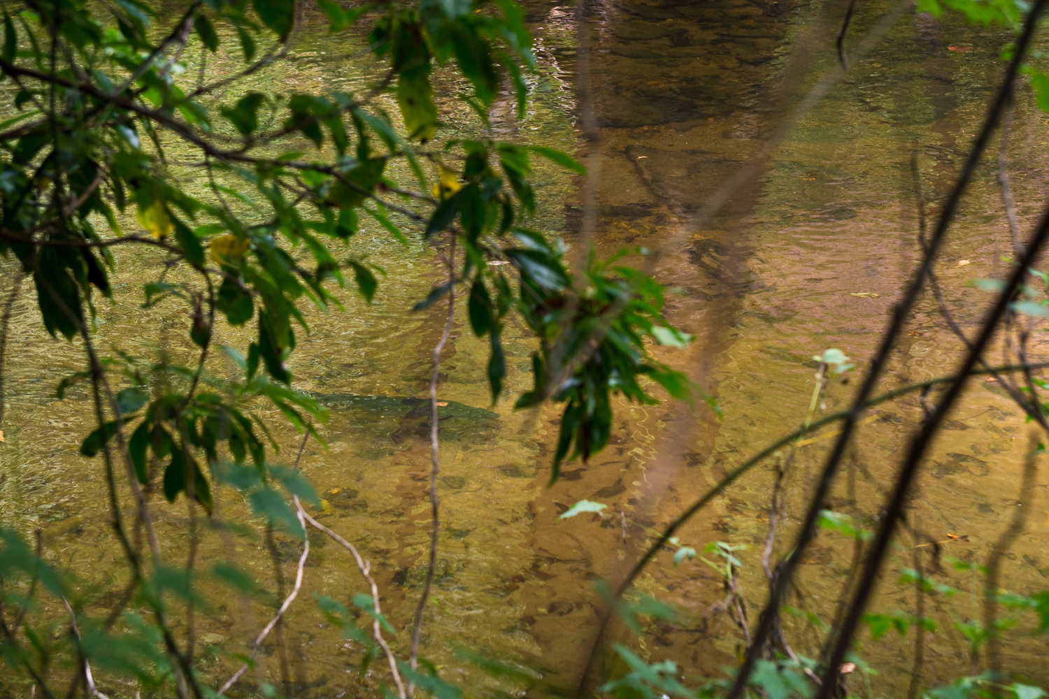 Small Stream Structure Part I- Substrate - Fly Fishing | Gink and ...