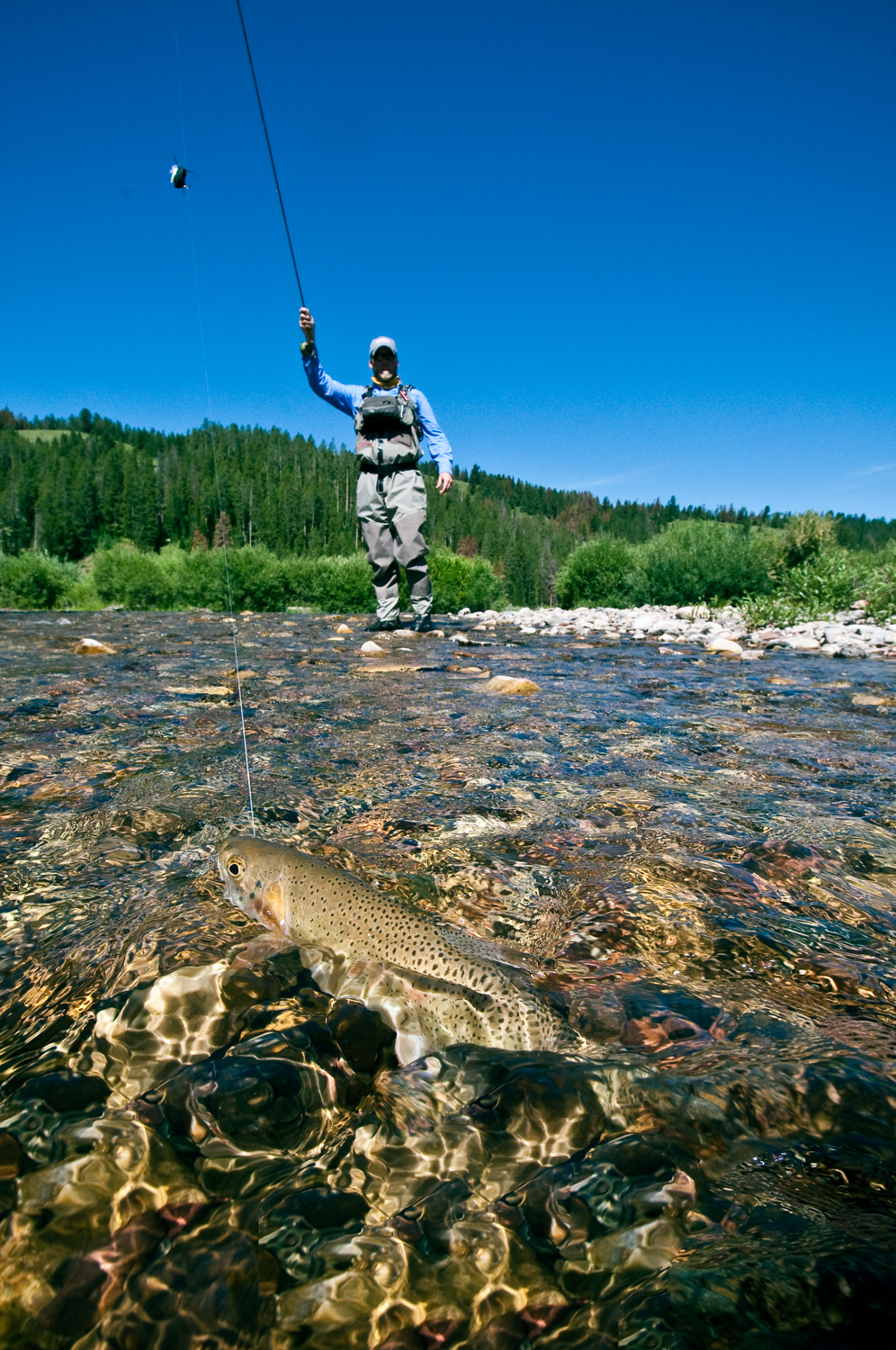 Small Stream Structure Part I- Substrate - Fly Fishing | Gink and ...