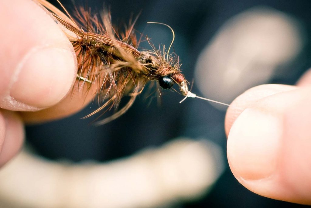 The Case For Stoneflies - Fly Fishing | Gink and Gasoline | How to Fly ...