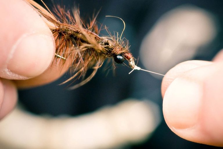The Case For Stoneflies - Fly Fishing | Gink and Gasoline | How to Fly ...