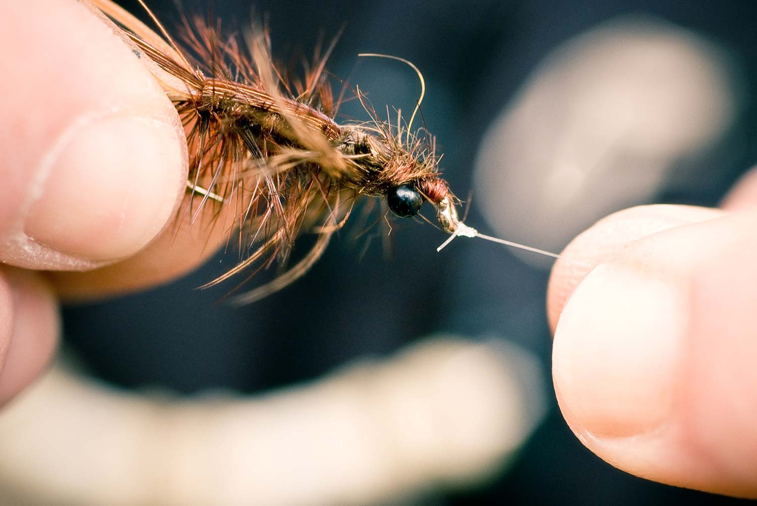 The Case For Stoneflies - Fly Fishing | Gink and Gasoline | How to Fly ...