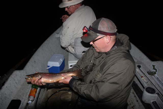 Demystifying The Hex Hatch - Fly Fishing | Gink and Gasoline | How to ...