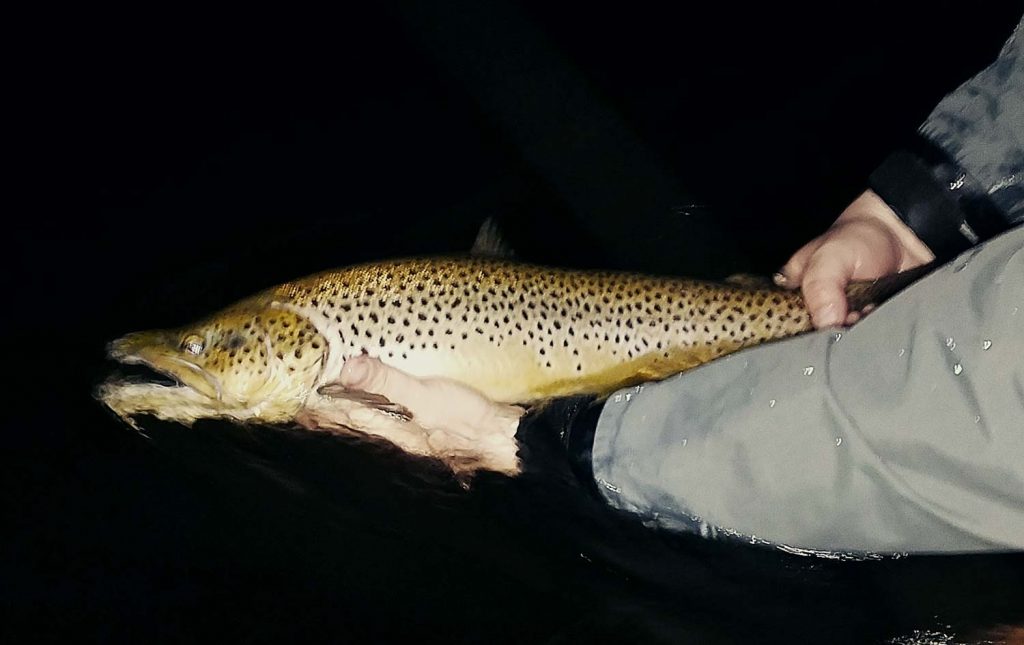 Demystifying The Hex Hatch - Fly Fishing | Gink and Gasoline | How to ...