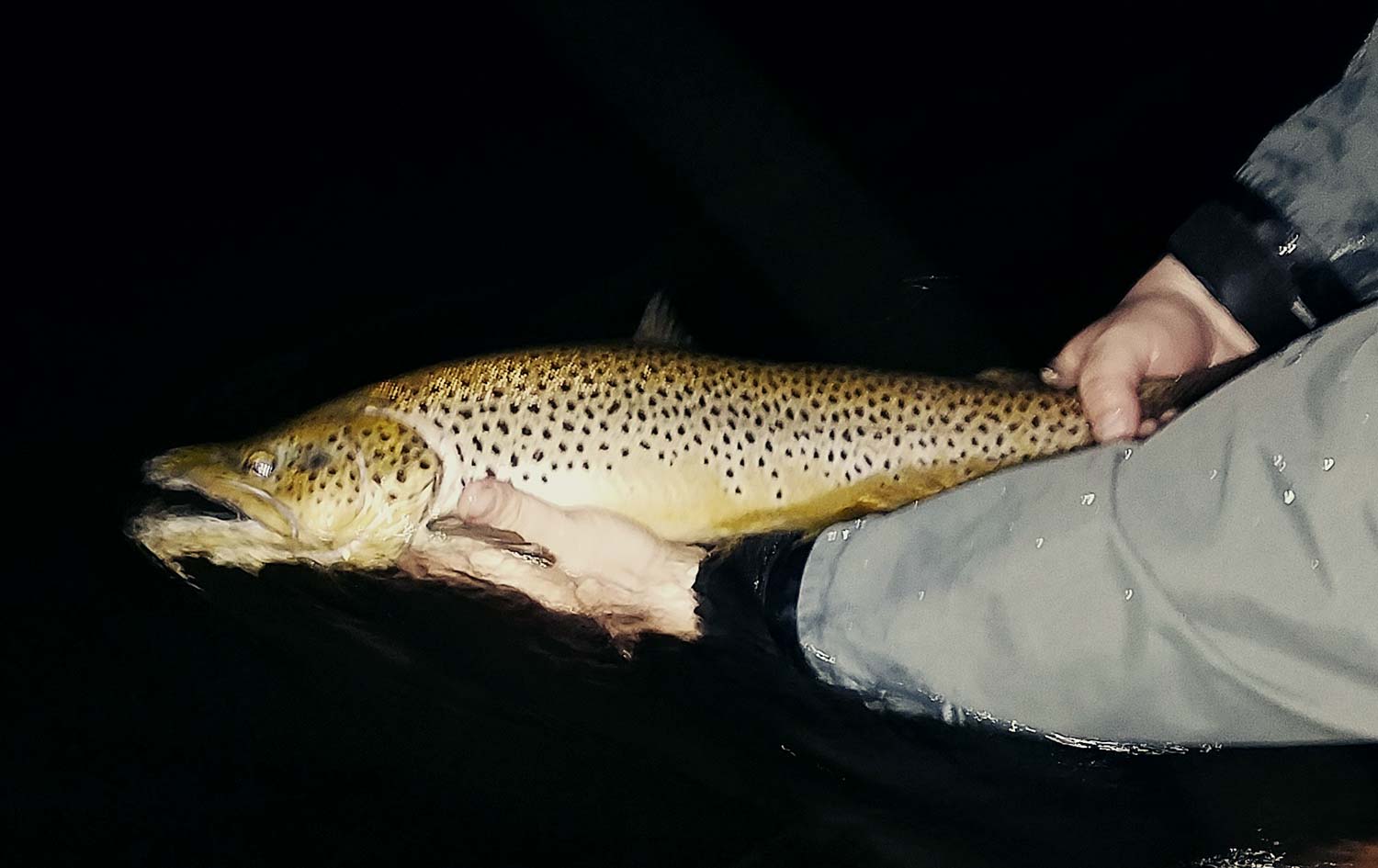 Demystifying The Hex Hatch - Fly Fishing | Gink and Gasoline | How to ...